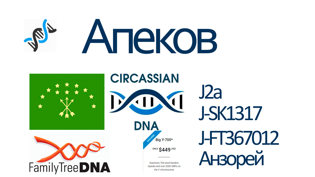 Архивы J2a - Circassian DNA