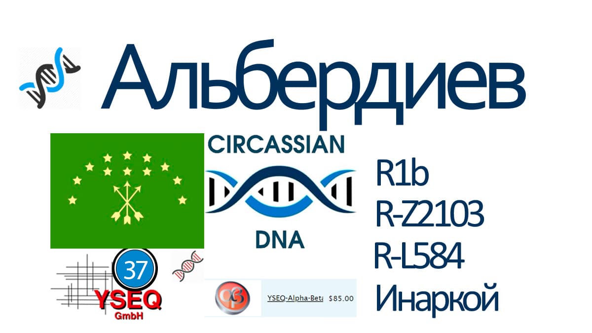 Альбердиев - AA DNA - Альбердиев, L584, R1b, Y18781, Y37, YSEQ, Z2103 ...